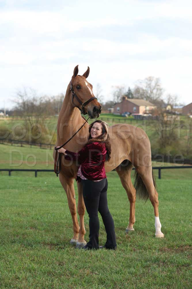 Highveld - Butler - Client Proofs - scbphoto.com